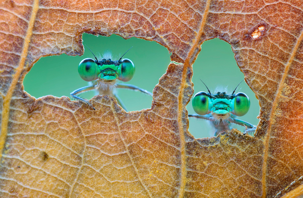 25 Photos That Show How Enchanting Animals Can Be | About Her