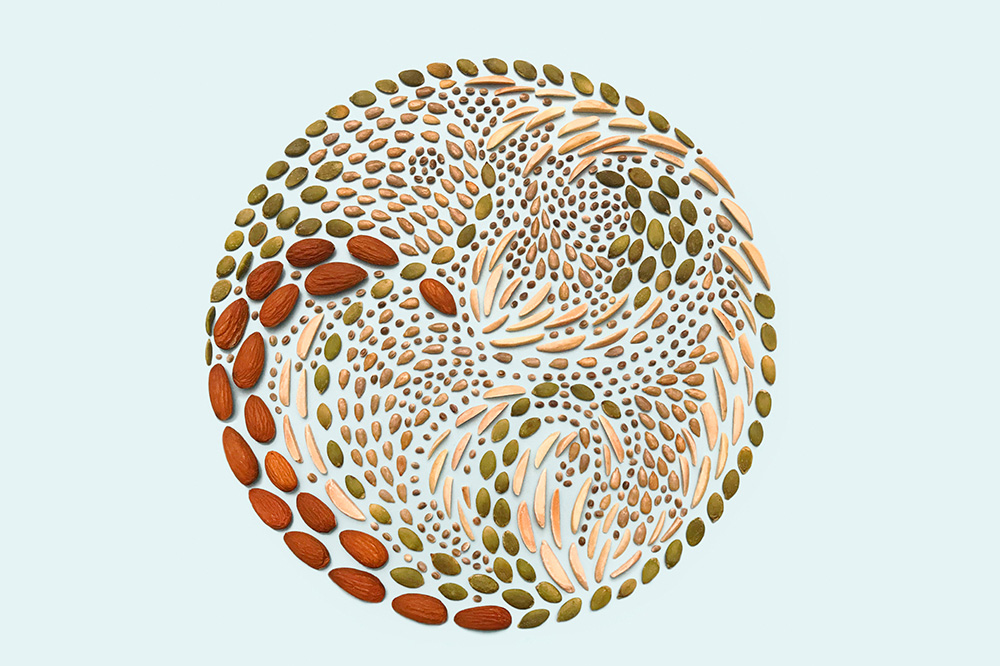 This Artist Uses Broken Pieces To Create Beautiful Artworks | About Her