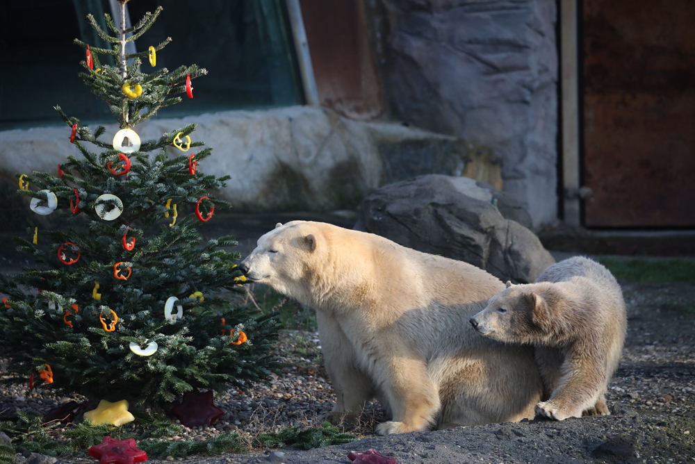 How to Holidays Look in This German Zoo | About Her