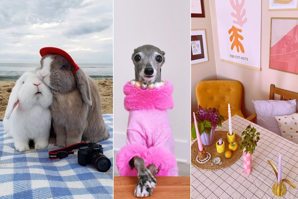 7 Instagram Pages That Will Make Your Day | About Her