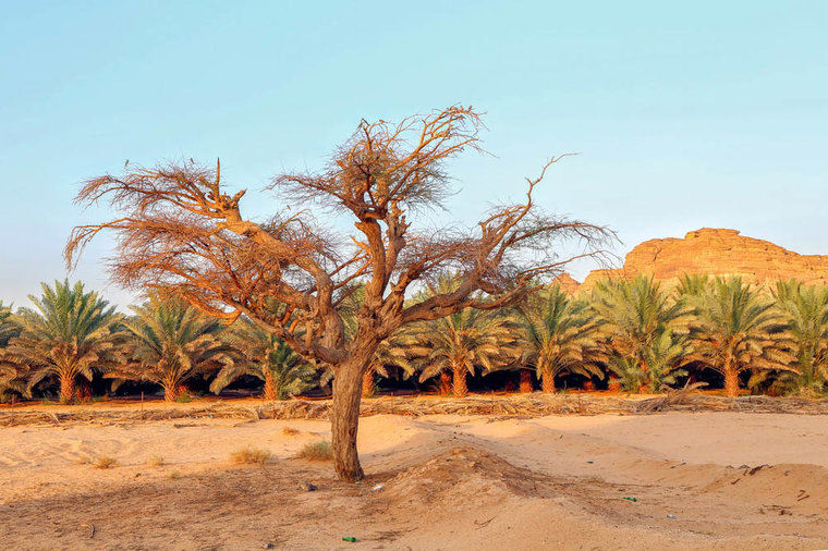 50 Incredible Pictures that Show the Underrated Beauty and Charm of ...