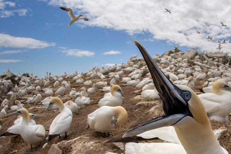 25 Photos That Show How Enchanting Animals Can Be | About Her