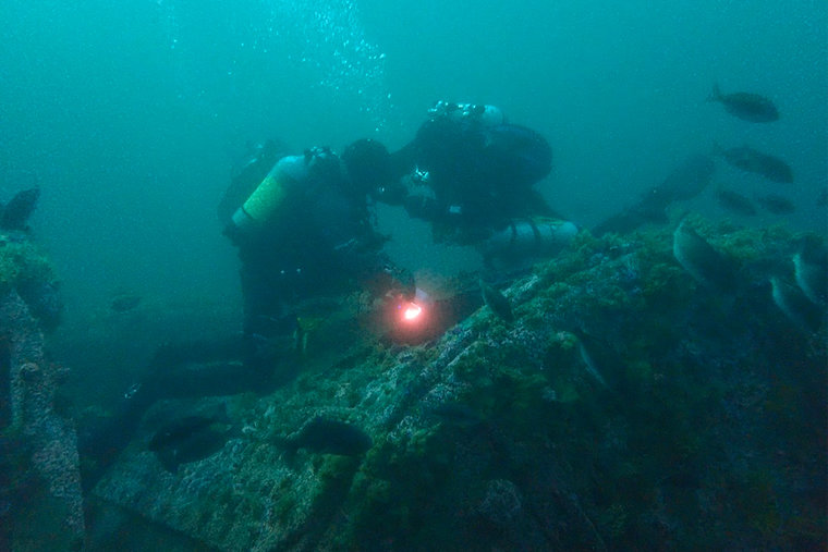 5 Popular Diving Spots in Saudi Arabia | About Her