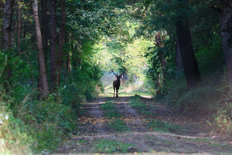 5 Destinations that Showcase Hungary's Natural Beauty | About Her