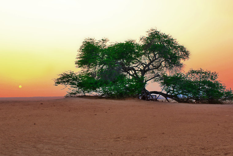 Travel Guide: Explore Bahrain's Hidden Gems | About Her